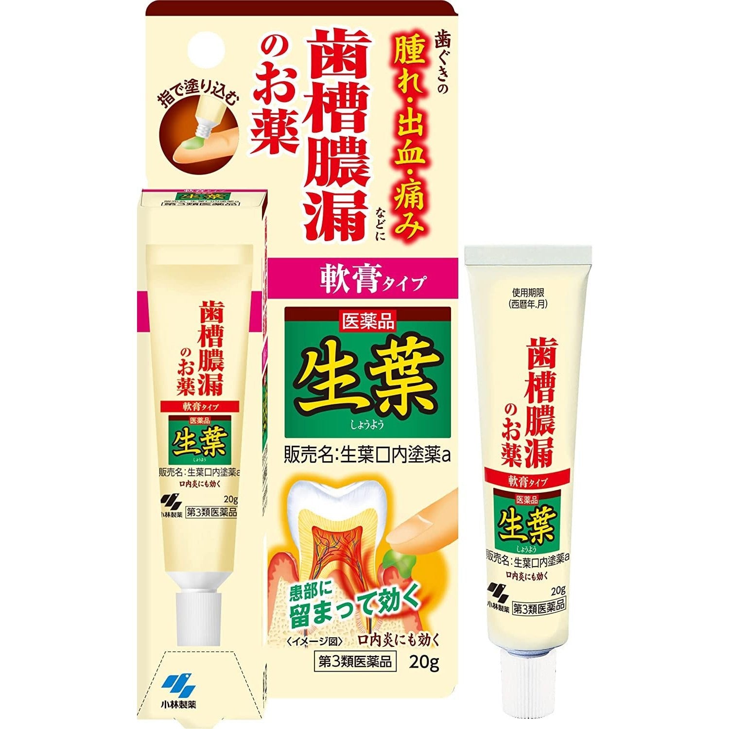 小林製藥 生葉 牙齦消腫消炎治療軟膏 20g 第3類医薬品 小熊藥妝 日本藥妝直送台灣
