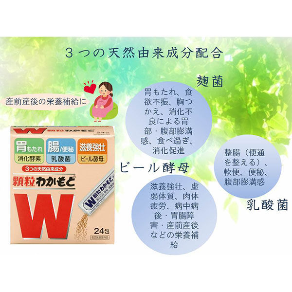 強力若元錠 vs. 欣表飛鳴 vs. Wakamoto 整腸藥，哪款最適合你的腸胃？超詳細比較！ – 小熊藥妝 - 日本藥妝直送台灣